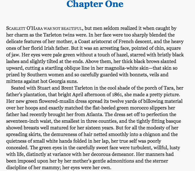 Writing The First Lines Of Your Novel - Writing As A Second Career